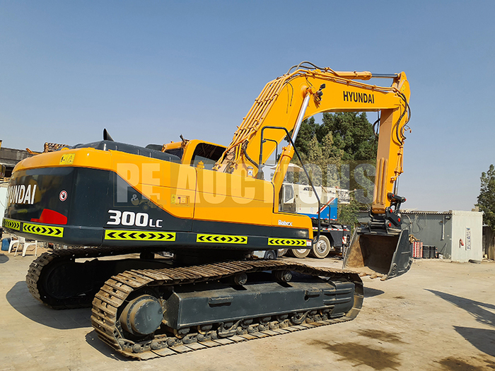 2013 Hyundai Robex 300LC (266) | P&E